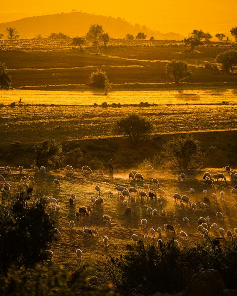 The Prayers of King David. Various Psalms. – Household Words: